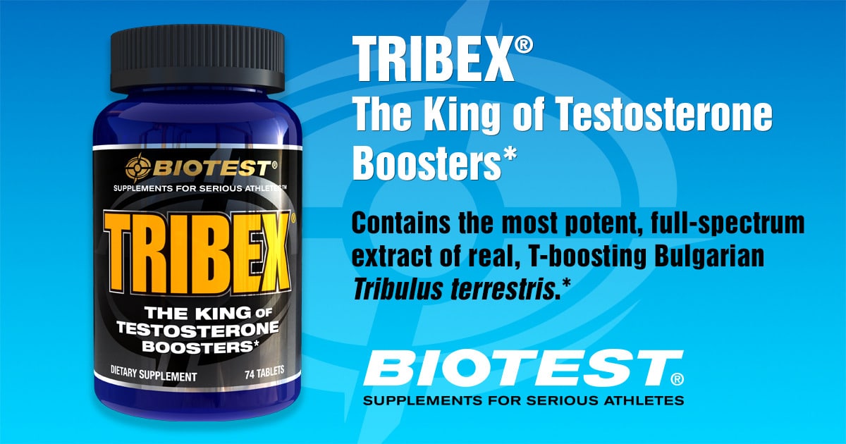 Biotest Tribex banner - Supplement City