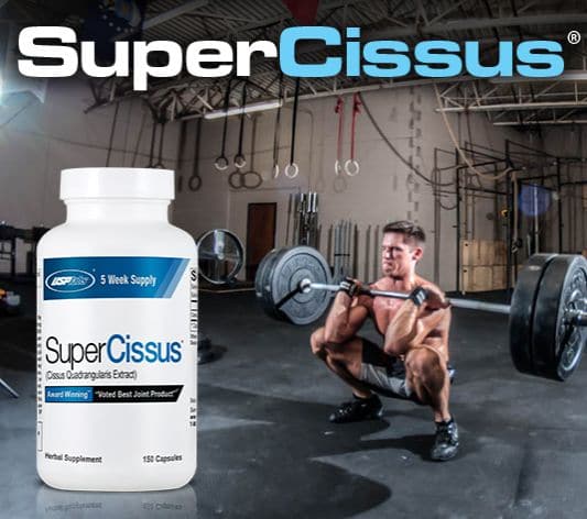 Usp Labs Super Cissus baner - Supplement City