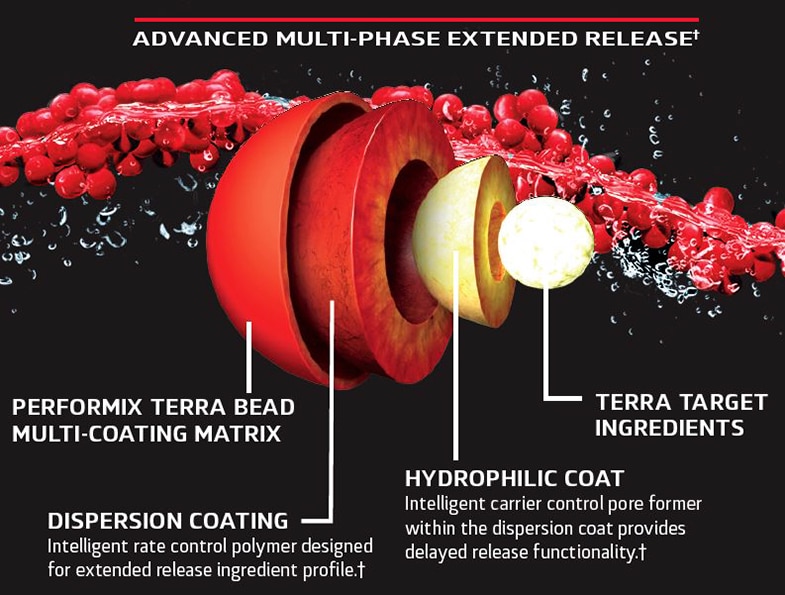 Performix Pump banner - Supplement City