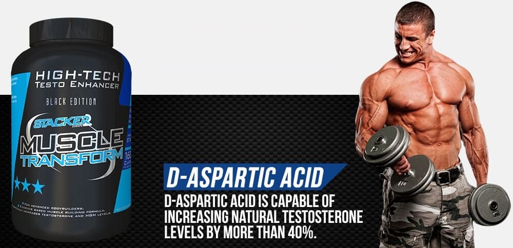 MuscleTransform-Product-Banner - Supplement City