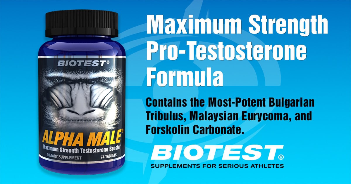 Alpha Male banner - Supplement City