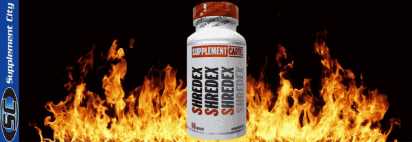 Supplement Cartel Shredex 60 Capsules | Supplement City