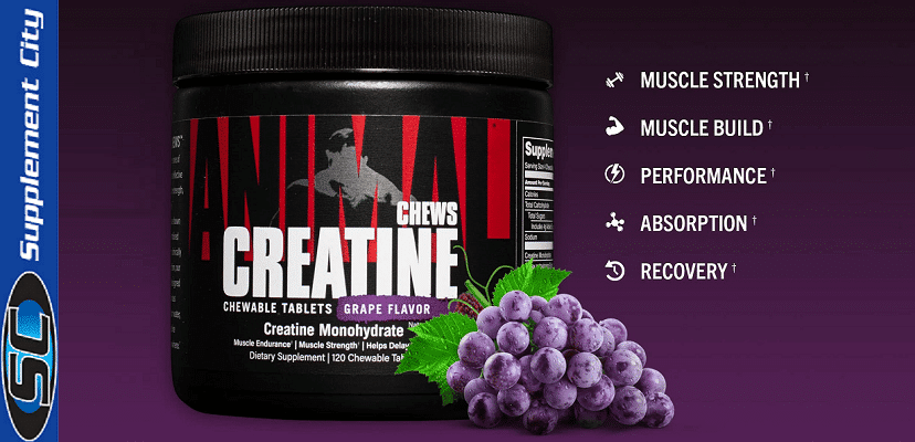 Animal Creatine Chews 120 Chewable Tablets | Supplement City